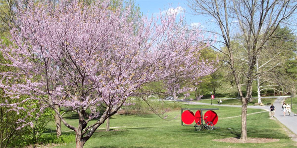 BardinSpring – Lifetime Learning Institute